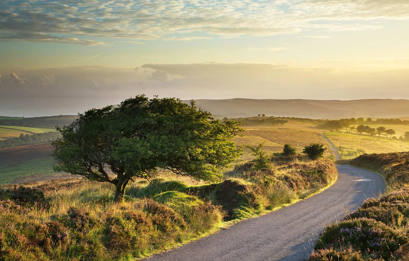 Wallpaper road, autumn, trees, England, Devon, Somerset, Exmoor ...