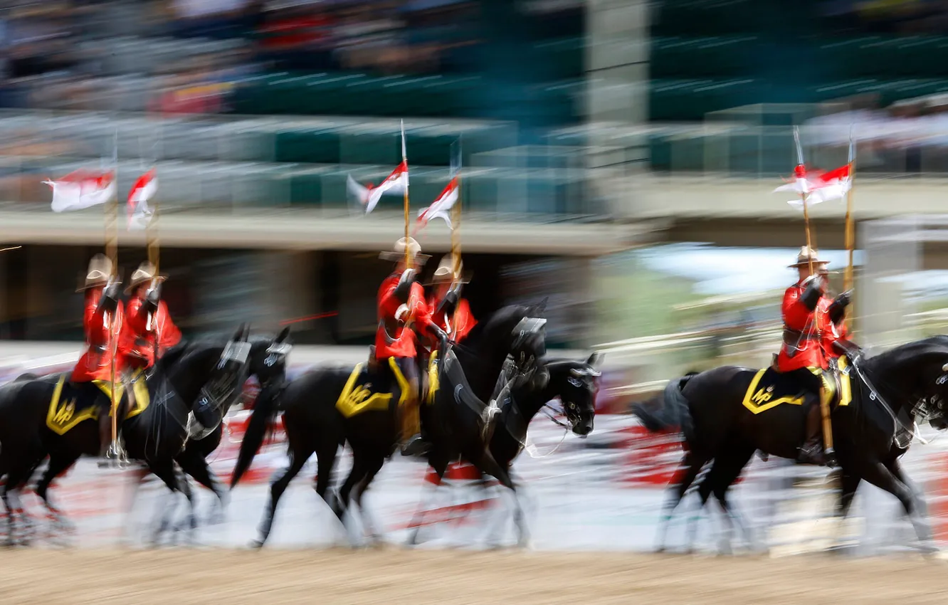 Wallpaper horse, rider, Rodeo, Royal canadian mounted police, Calgary ...