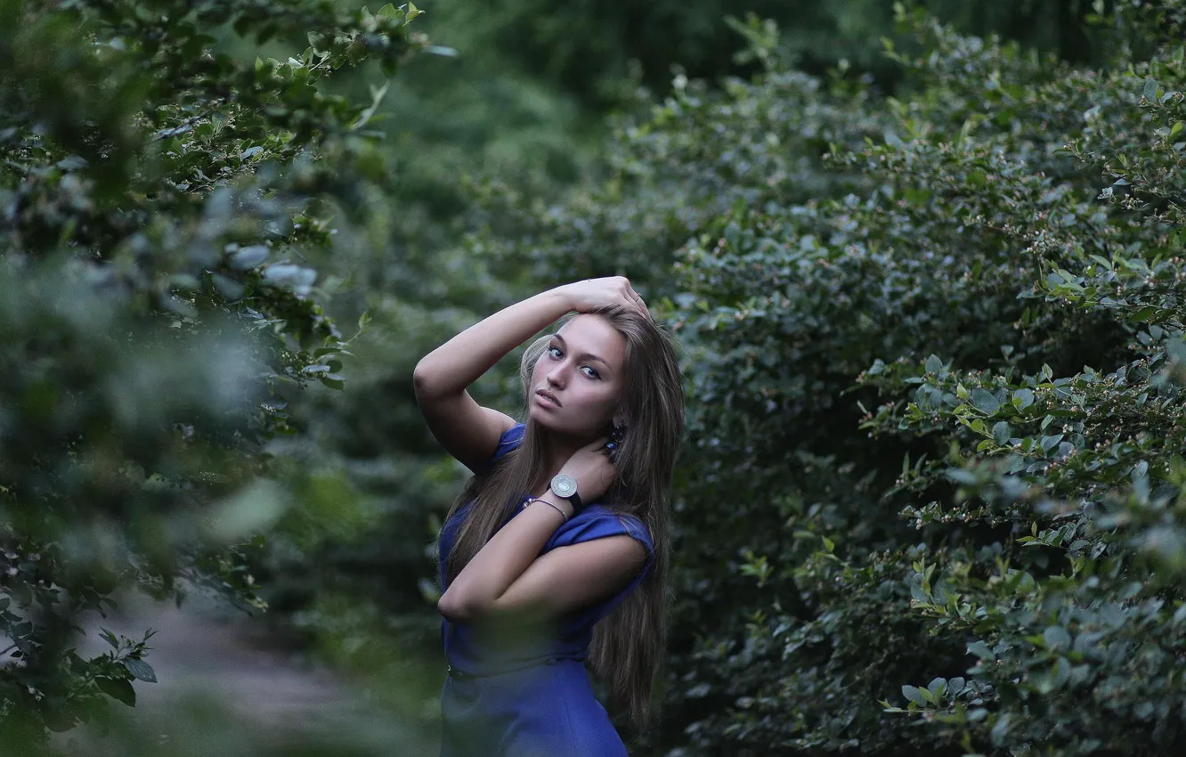 Wallpaper look, girl, trees, model, portrait, hands, makeup, dress for mobile and desktop ...