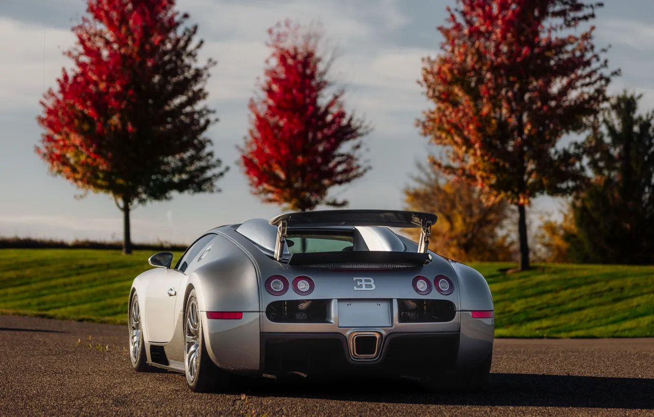Wallpaper Bugatti, Veyron, Bugatti Veyron, 16.4, rear view for mobile ...