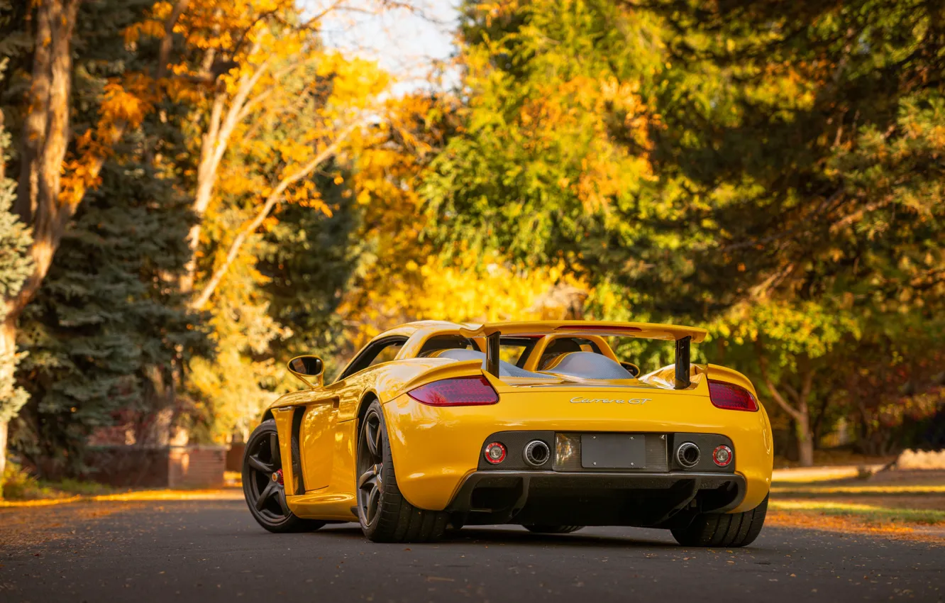 Wallpaper Porsche, Carrera, Porsche Carrera GT, rear view for mobile ...