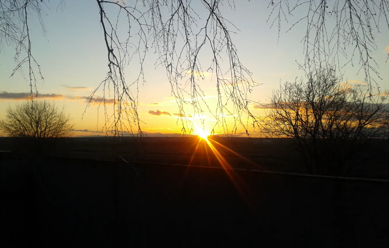 Wallpaper sun, dereva, neba, zakat for mobile and desktop, section ...