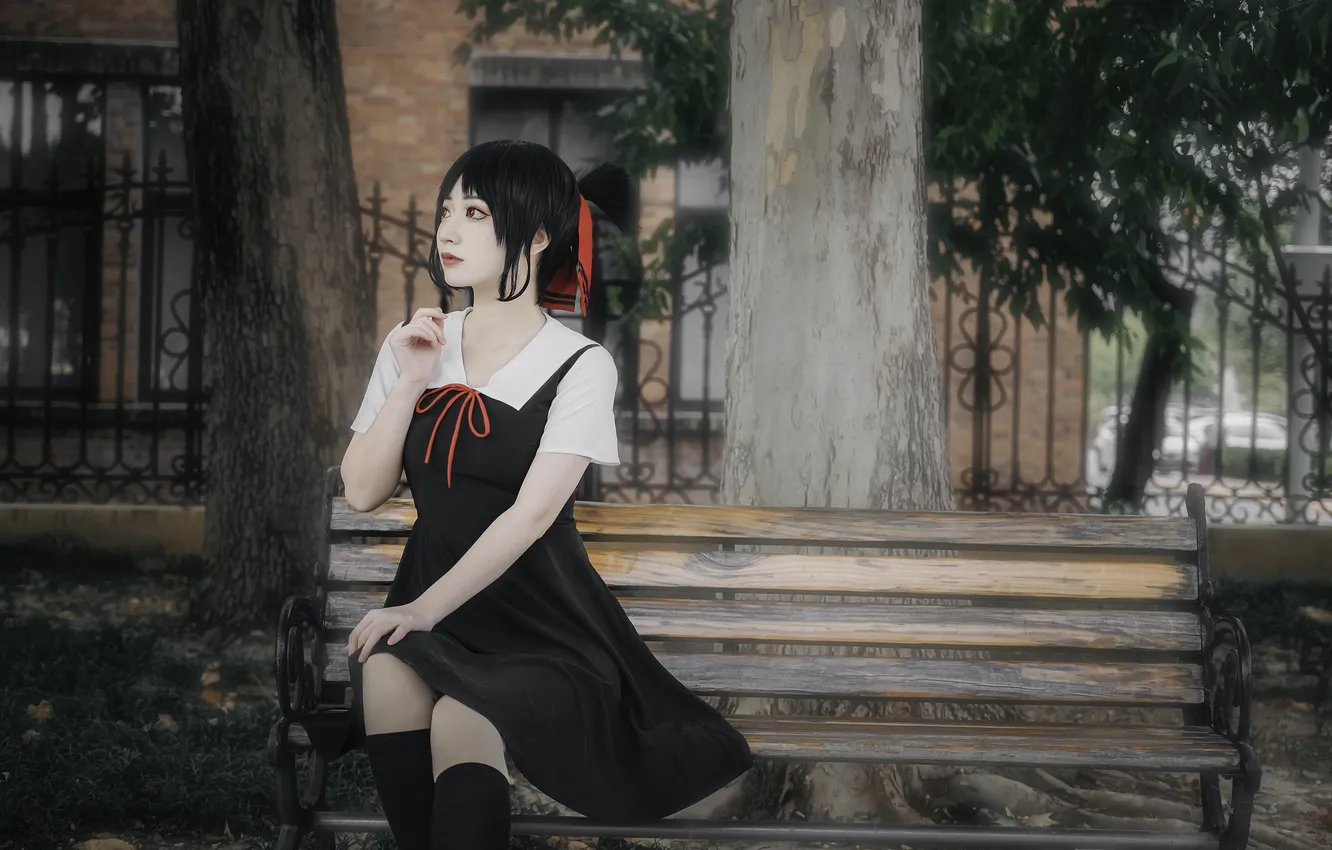 Wallpaper woman, beautiful, tree, model, pretty, fence, cosplay, bench ...