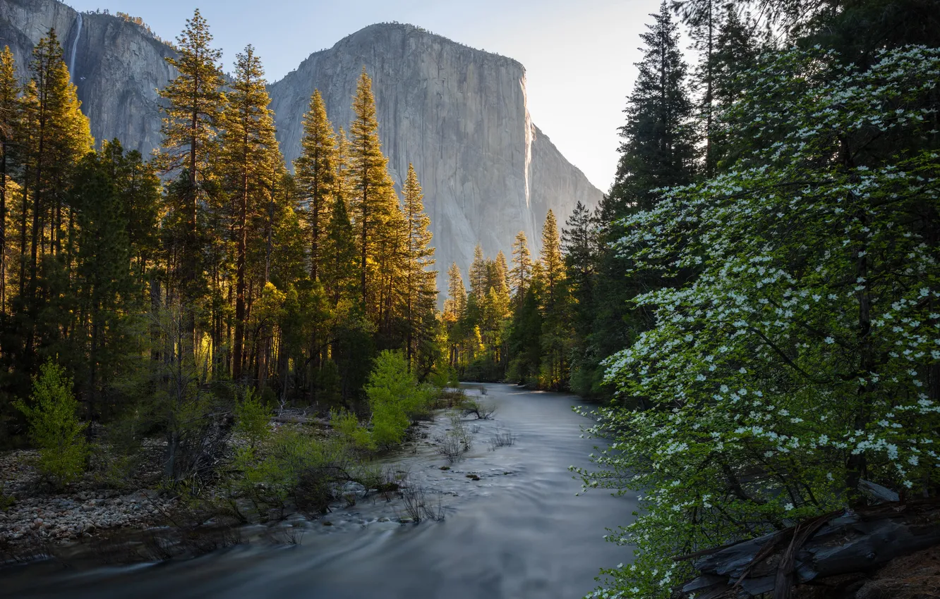Wallpaper landscape, California, Yosemite National Park for mobile and ...