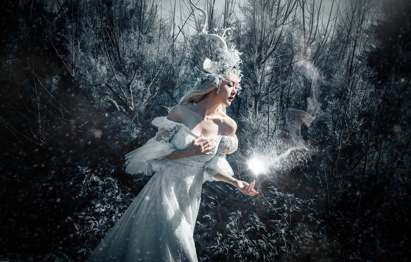 Wallpaper Forest Grass Look Girl Light Branches Nature Face For