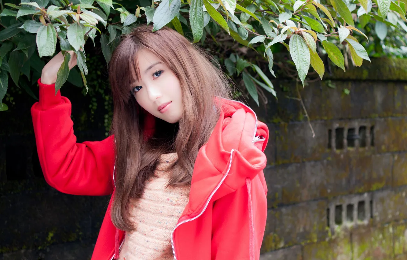Wallpaper Autumn Asian Cutie Beautiful Girl Asian Cutie Asian