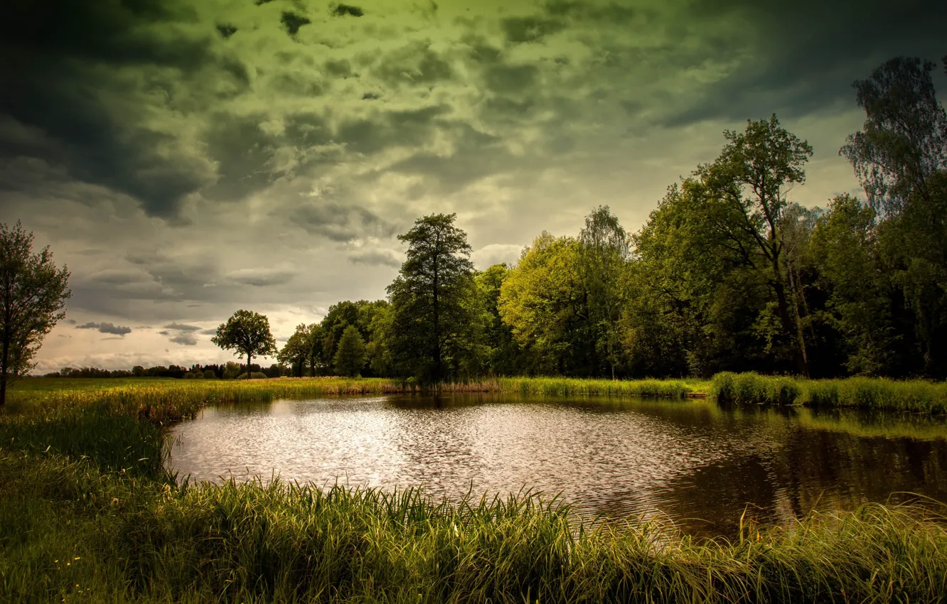 Wallpaper summer, nature, lake for mobile and desktop, section природа ...