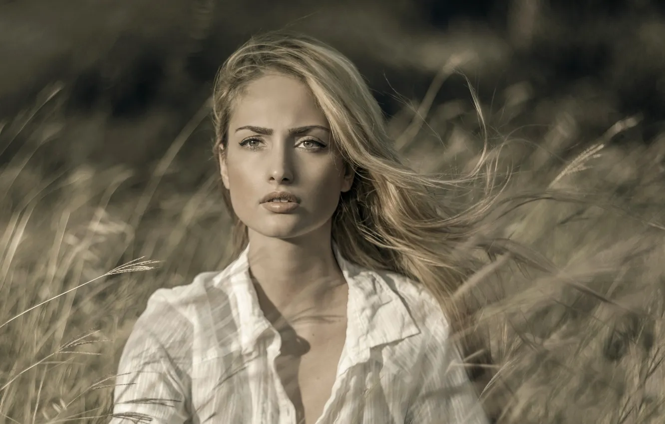 Wallpaper Summer Grass Look Girl Nature Blonde Blouse Besarion