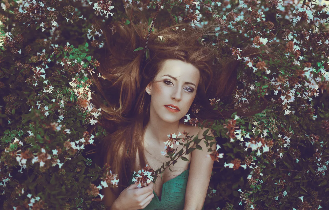 Wallpaper Summer Look Girl Nature Face Hair For Mobile And Desktop