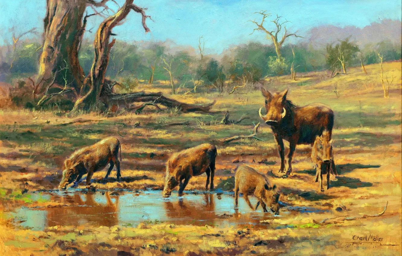 Wallpaper Trees, Puddle, Savana, South African artist, Charl Moller ...