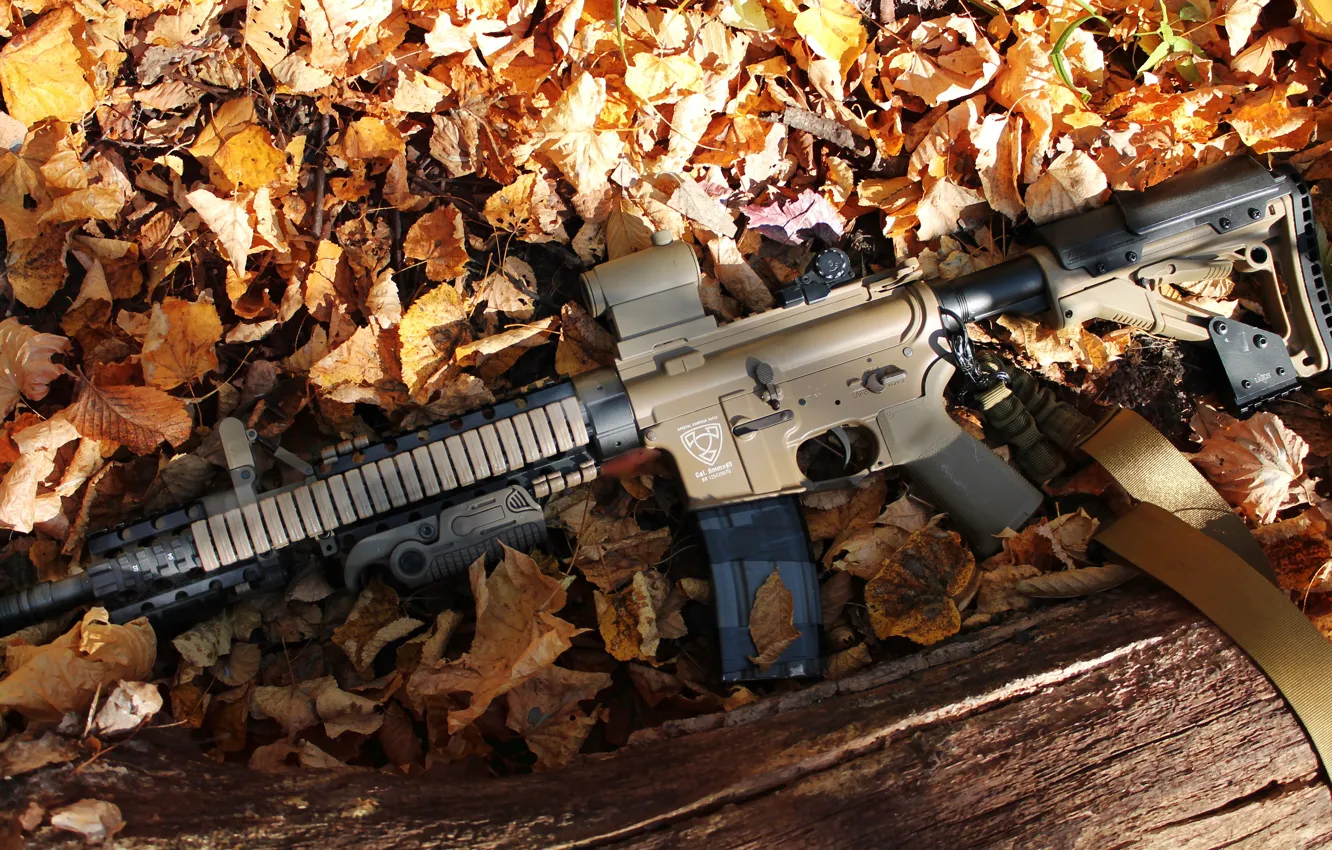 Wallpaper autumn, leaves, weapons, gun, carabiner, airsoft, 2016 ...