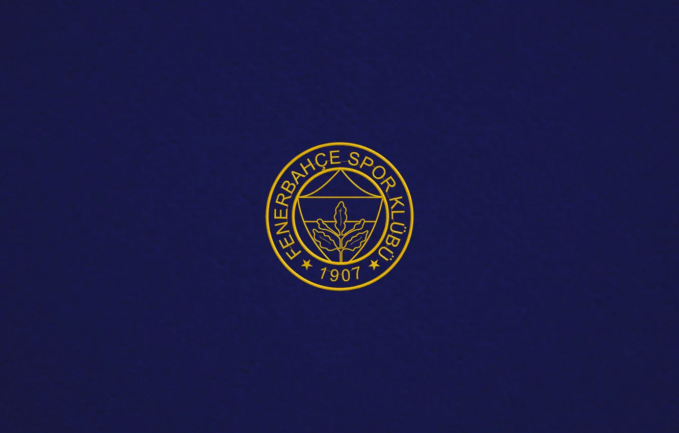 Wallpaper Turkey, Football Club, Fenerbahce for mobile and desktop ...