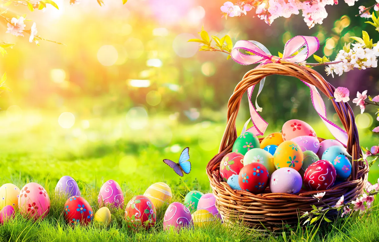 Wallpaper flowers, eggs, spring, colorful, Easter, flowers, spring ...