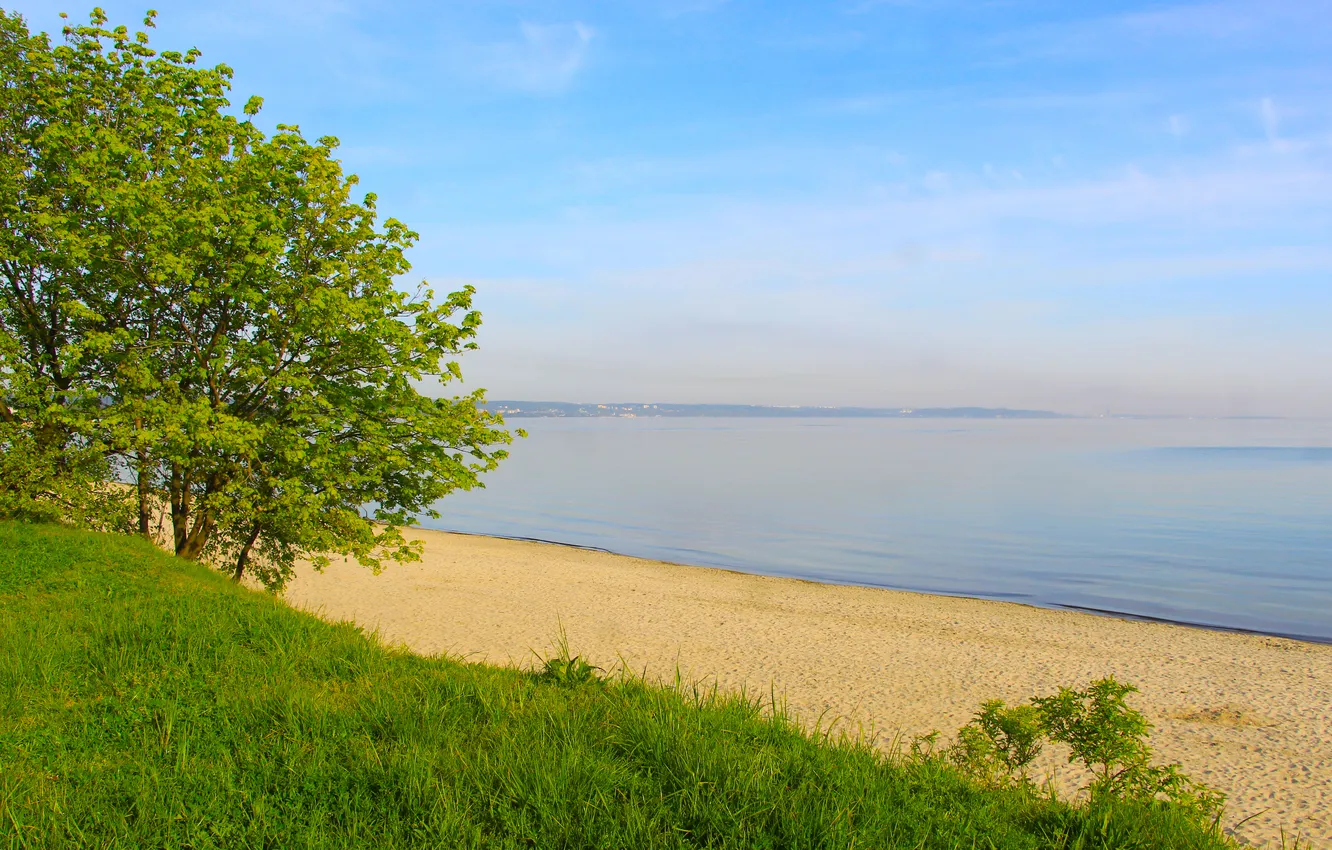 Wallpaper beach, sky, sea, tree for mobile and desktop, section пейзажи ...