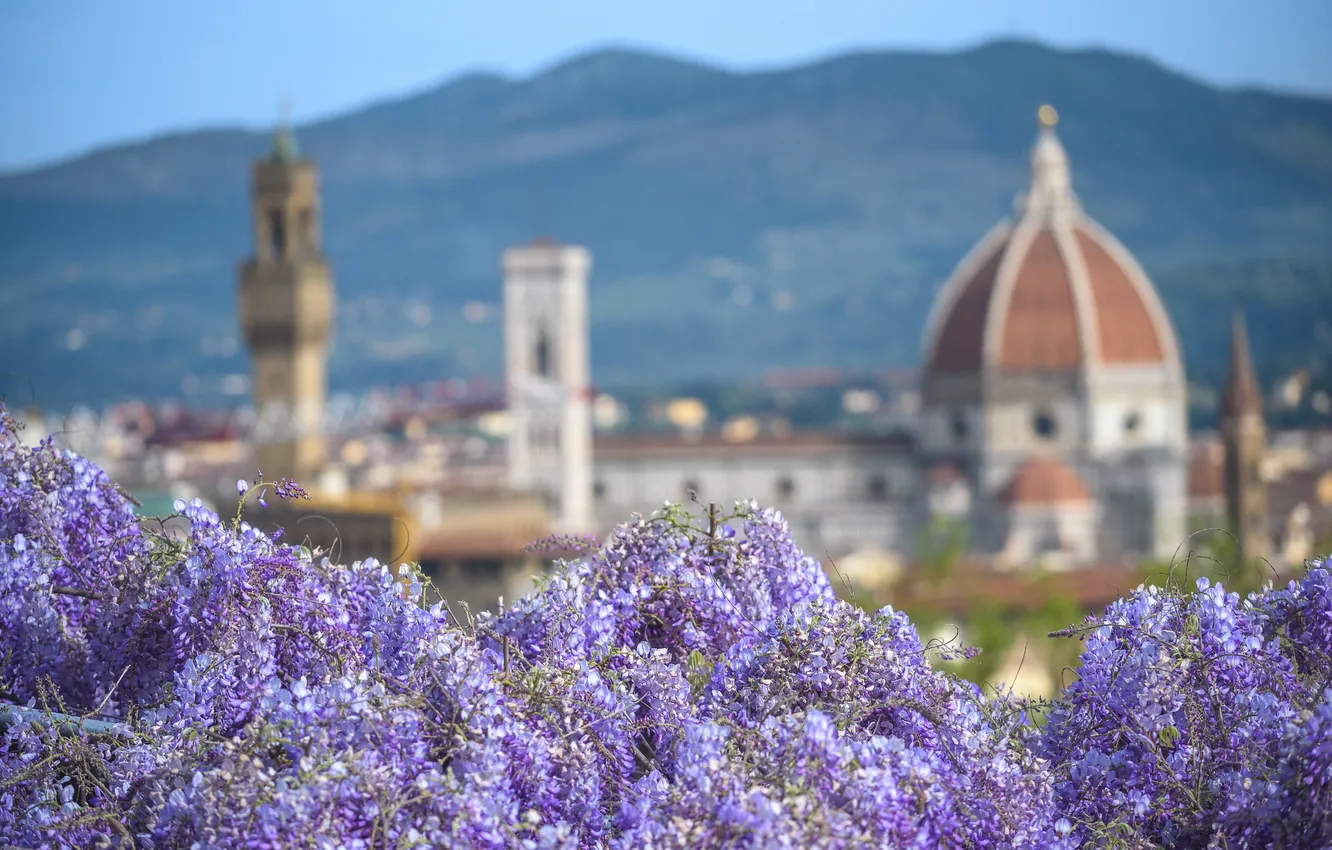 Wallpaper spring, Italy, Florence, Santa Maria del Fiore for mobile and ...