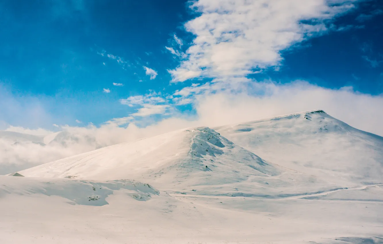 Wallpaper cold, snow, mountains, Chechnya, casinoi images for desktop ...