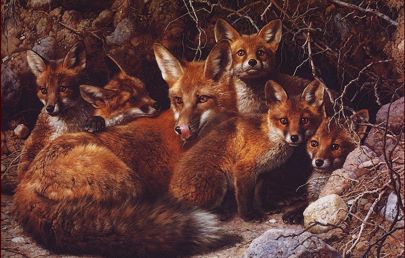 Wallpaper picture, family, Fox, cub, Carl Brenders, American artist ...