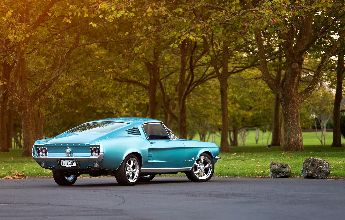 Wallpaper Mustang, Ford, the trunk, drives, 1967, Fastback for mobile ...