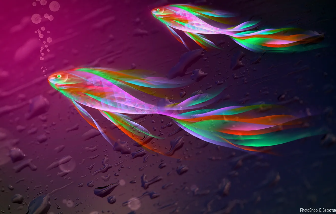 Wallpaper fish, photoshop, reincarnate for mobile and desktop, section ...