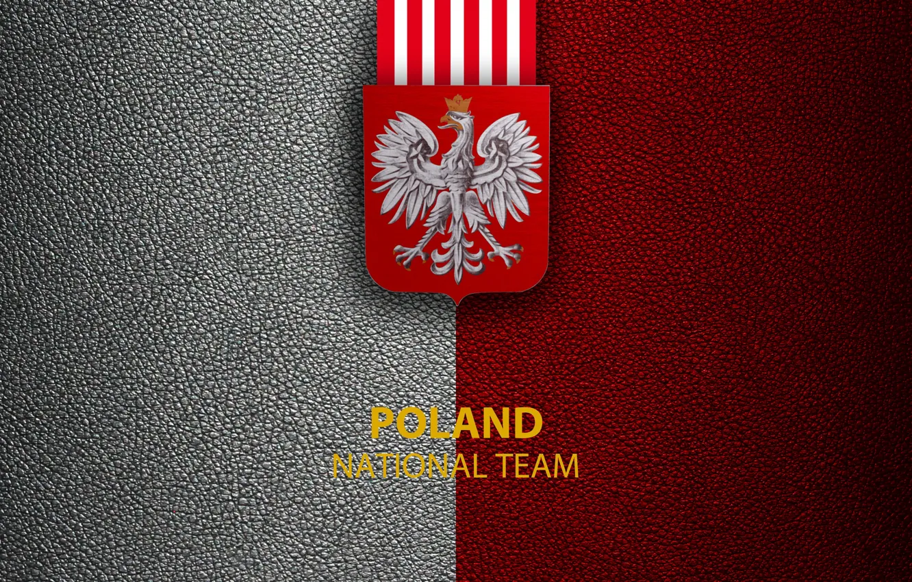Wallpaper wallpaper, sport, logo, football, Poland, National team ...
