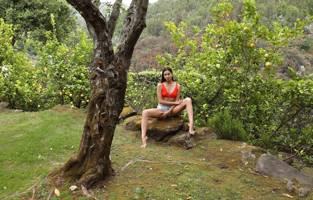Wallpaper trees, nature, model, Aria, gorgeous, orchard, posing, red ...