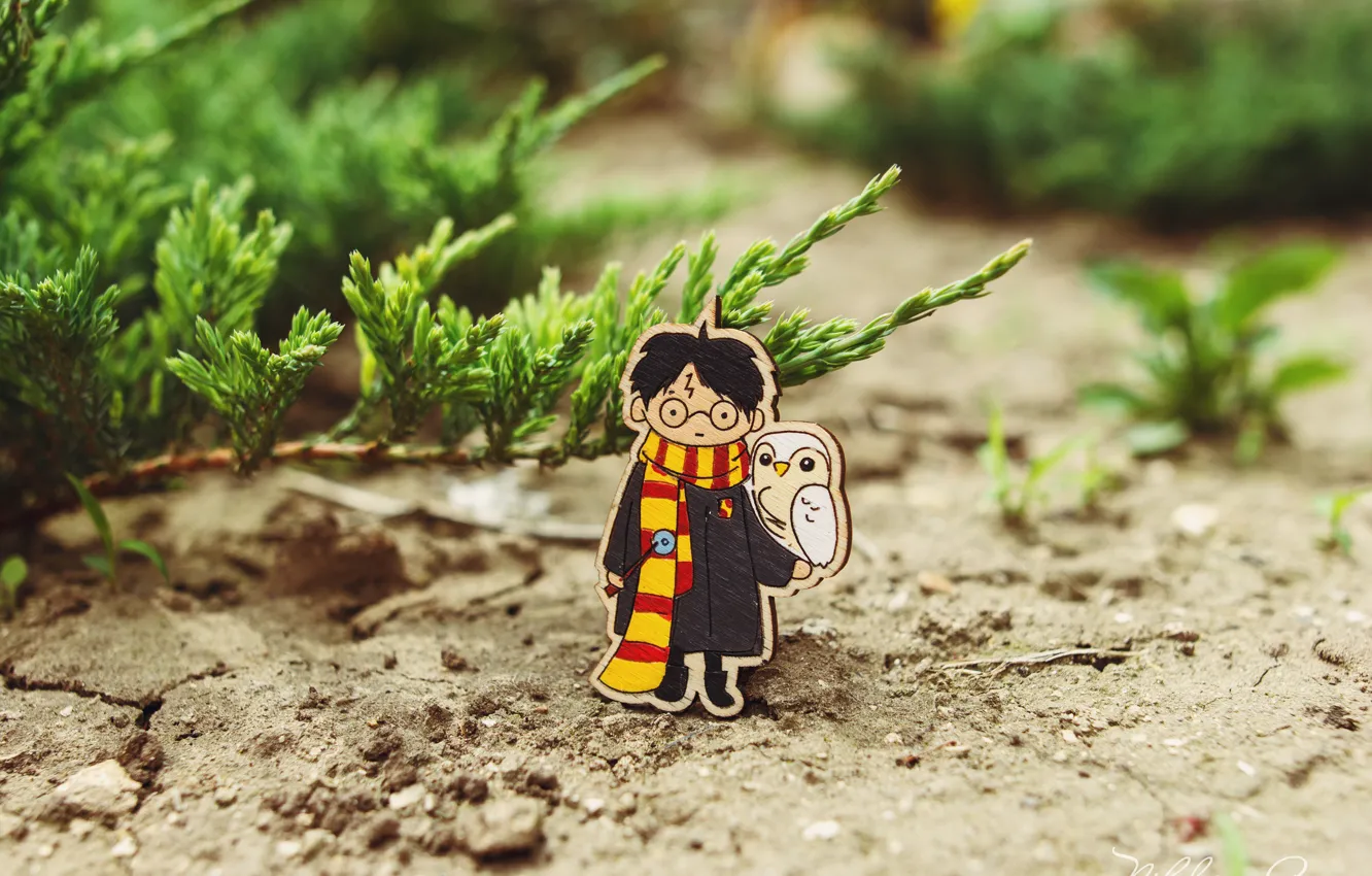 Wallpaper fiction, movie, cartoon, owl, spring, Harry Potter, Hermione ...