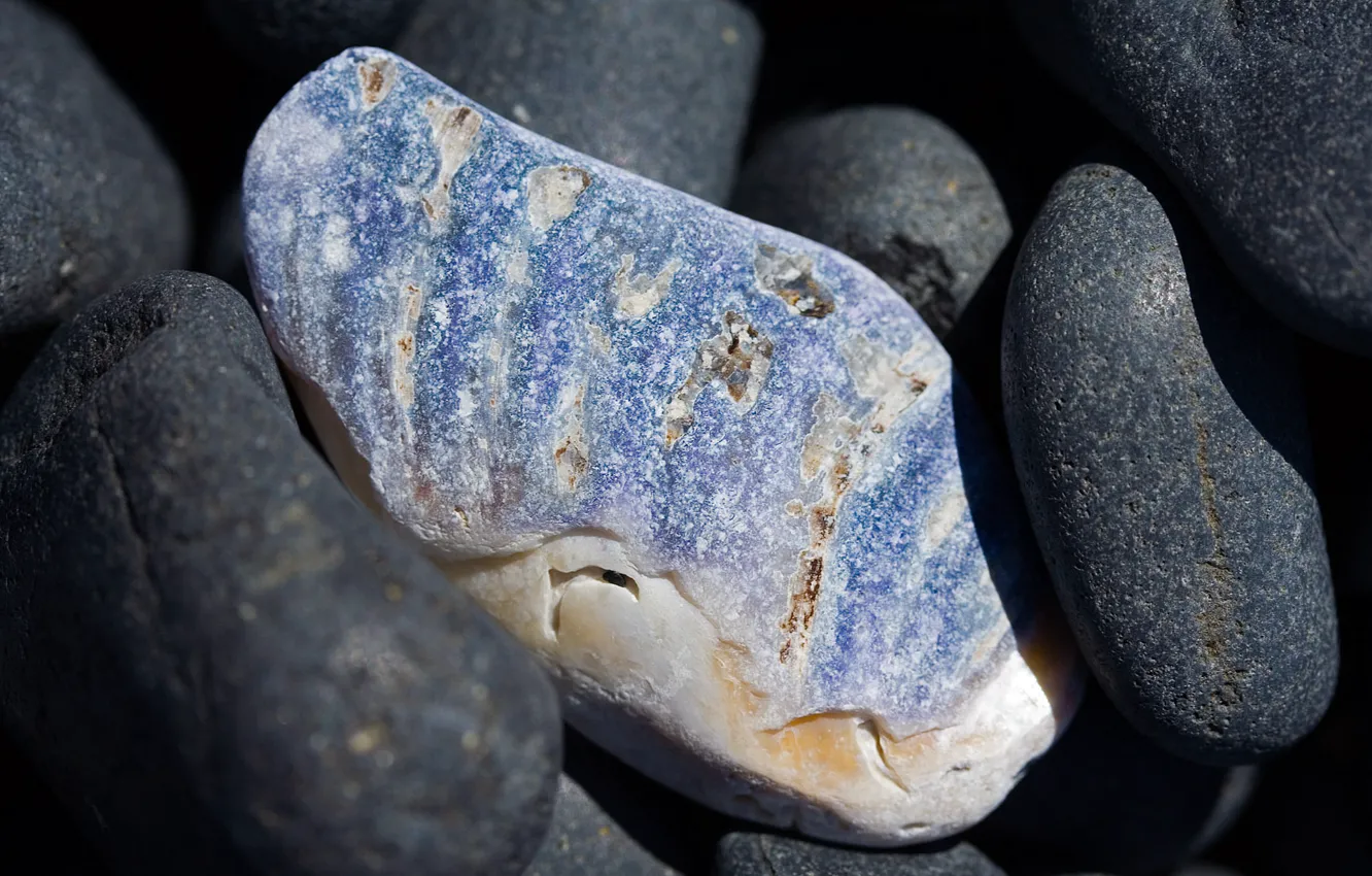 Wallpaper beach, nature, macro stone for mobile and desktop, section ...