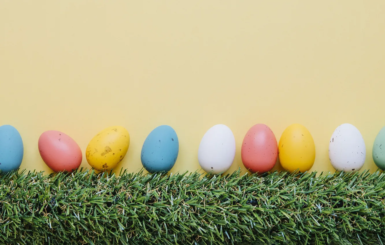 Wallpaper holiday, eggs, spring, Easter, weed for mobile and desktop ...