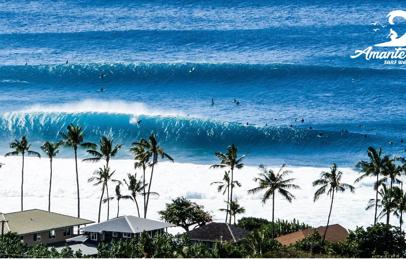 Wallpaper LOGO, SURF, LOVER, HAWAII for mobile and desktop, section ...