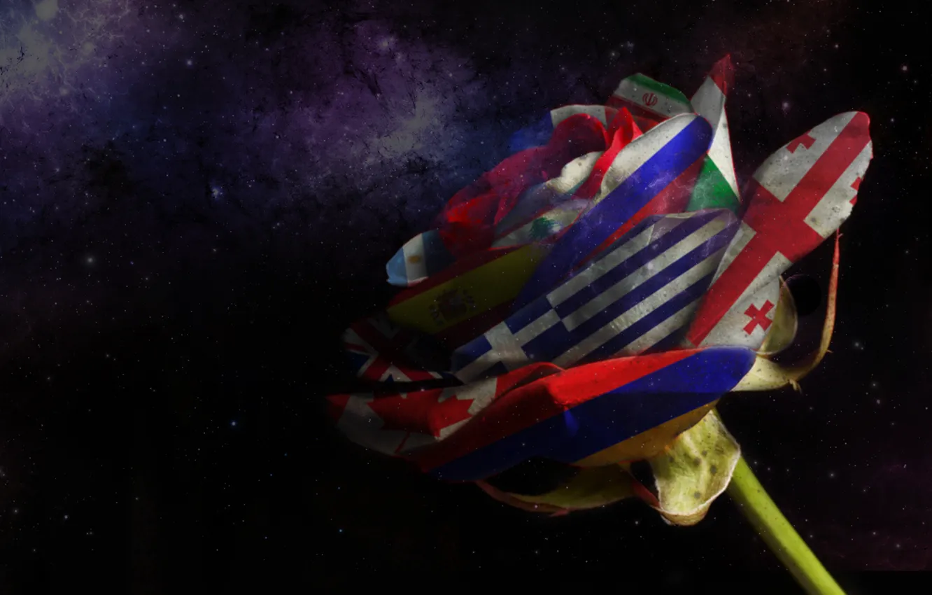 Wallpaper the universe, roses, flag for mobile and desktop, section ...