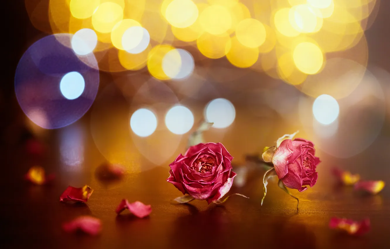 Wallpaper light, flowers, red, lights, glare, lights, table, roses for ...