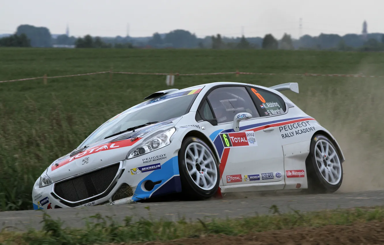 Wallpaper grass, dust, Peugeot, Rally, 208, T16, ERC, Abbring for ...