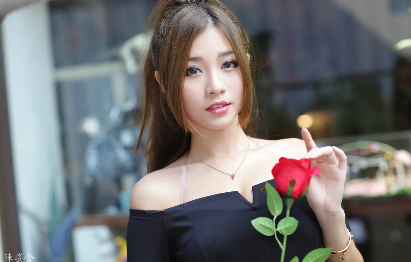 Wallpaper Close Up Rose Asian Cutie Kiki Asian Girl For Mobile And