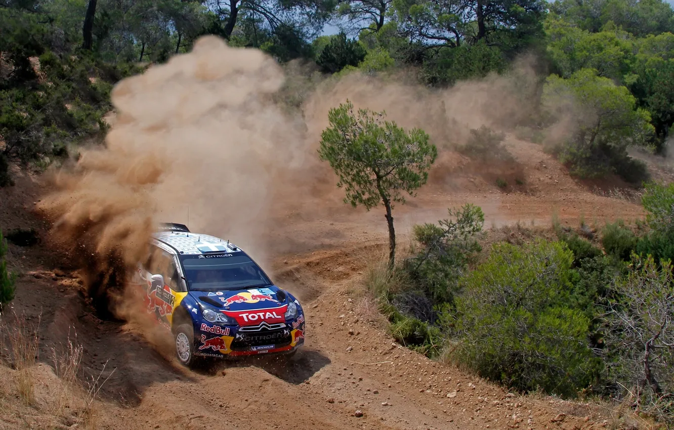 Wallpaper car, trees, track, The hood, Skid, Citroen, DS3, WRC for mobile and desktop, section ...