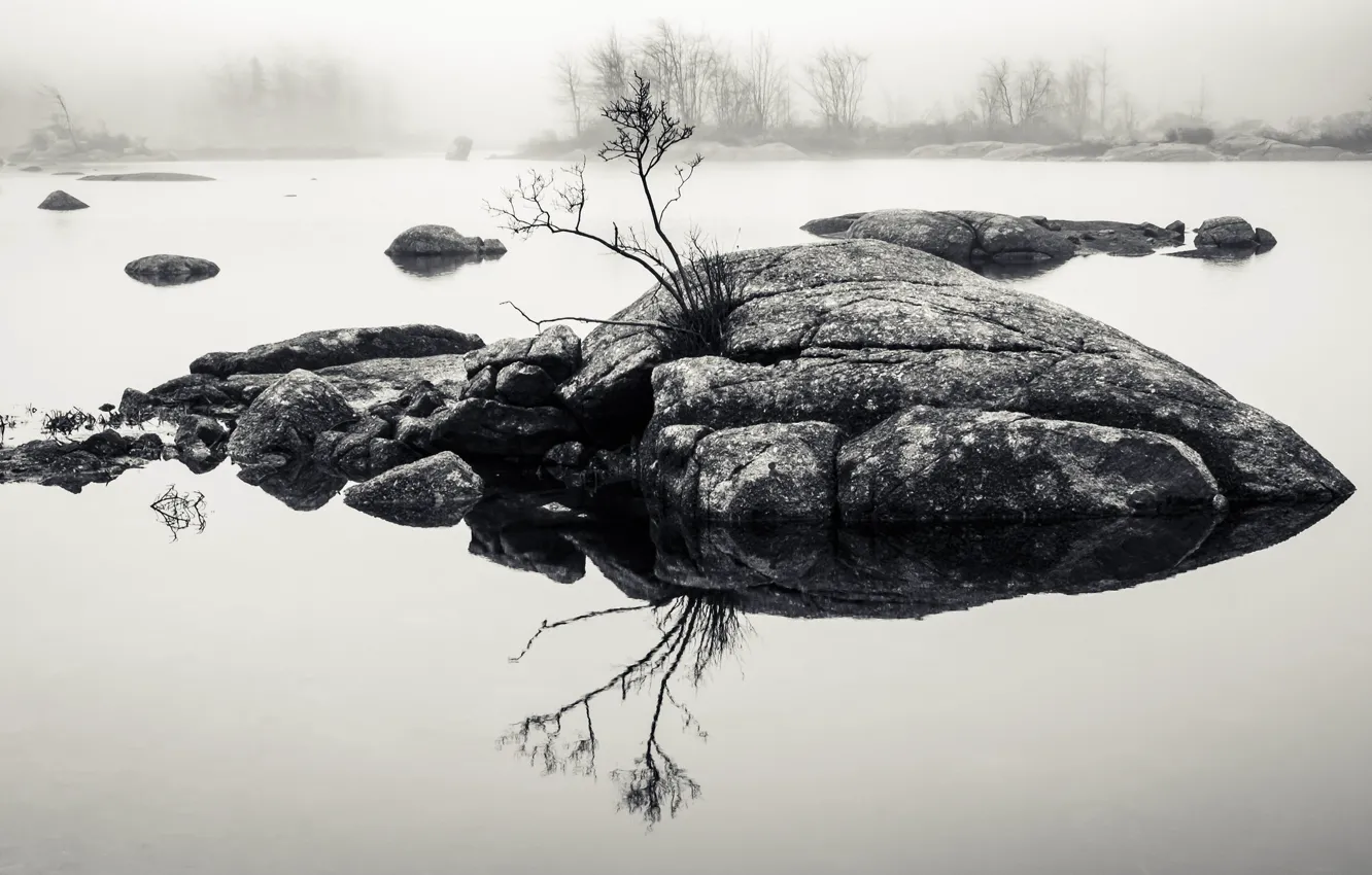 Wallpaper rock, water, lake, fog, reflection for mobile and desktop ...
