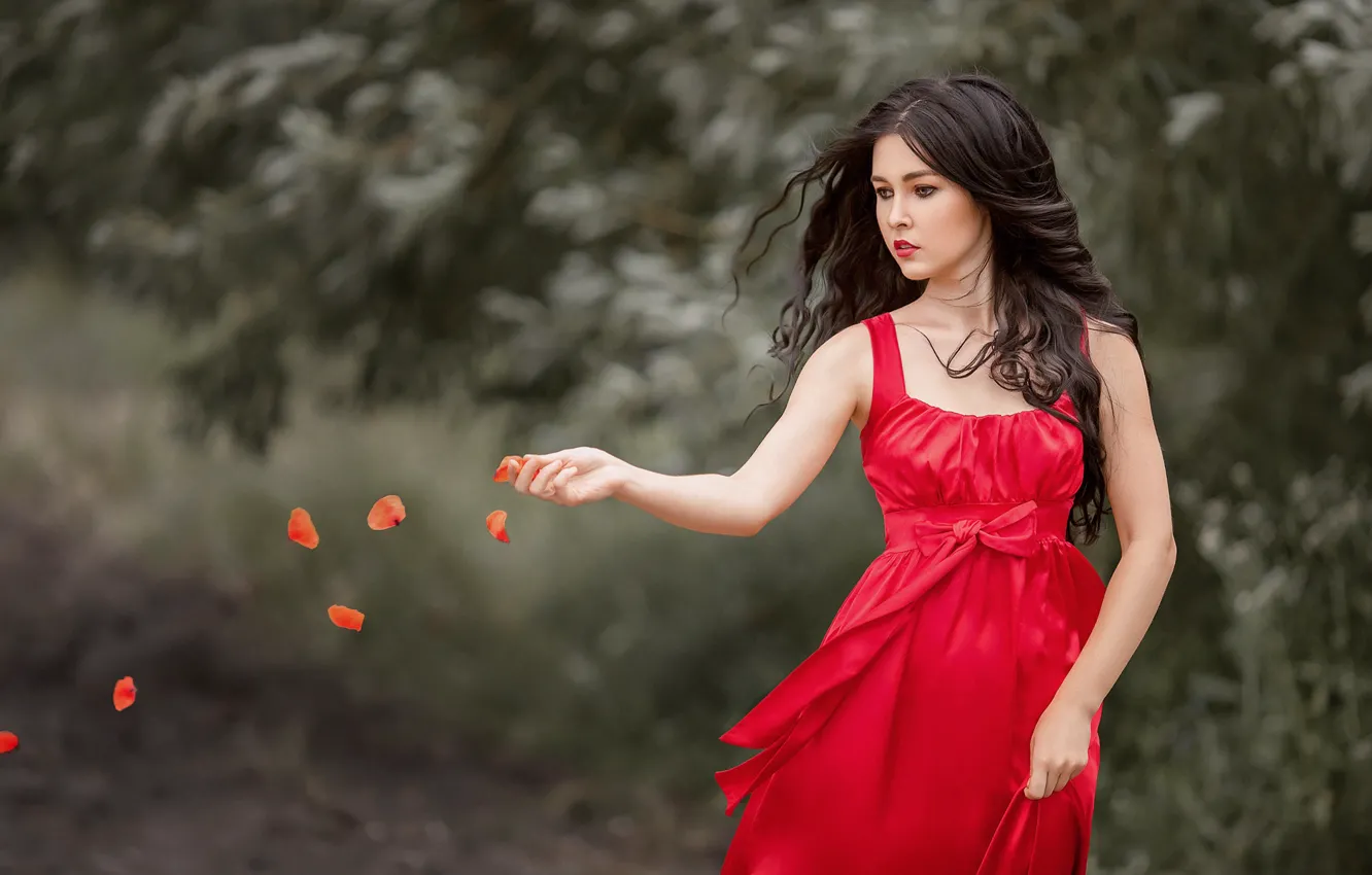 Wallpaper pose, look, gesture, red dress, tree, petals, beautiful girl ...
