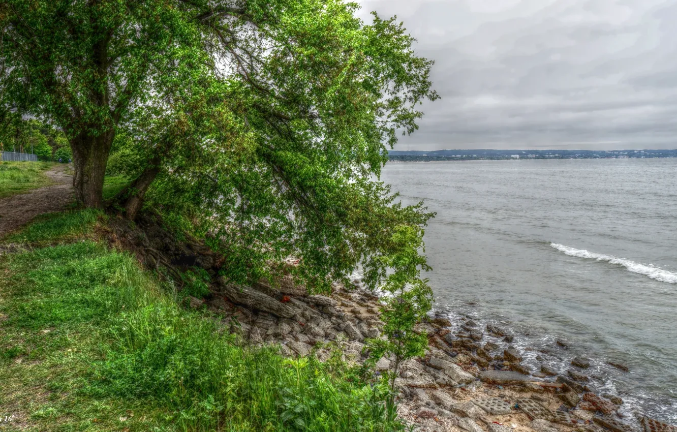Wallpaper beach, sea, water, tree for mobile and desktop, section ...