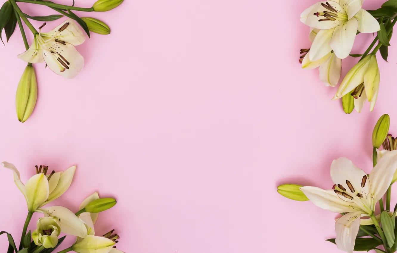 Wallpaper flowers, Lily, spring, pink, fresh, pink, flowers, spring for ...