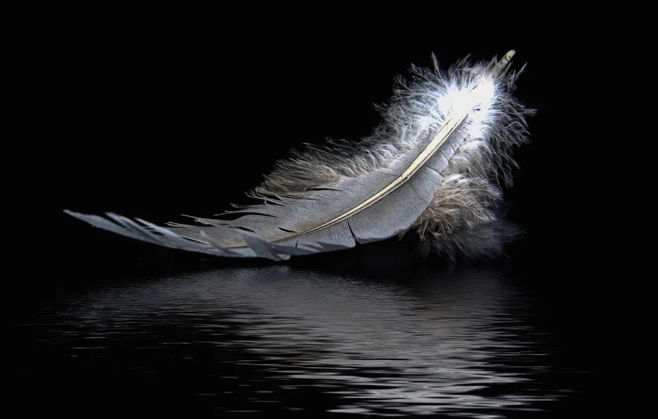 Wallpaper water, reflection, pen for mobile and desktop, section макро ...