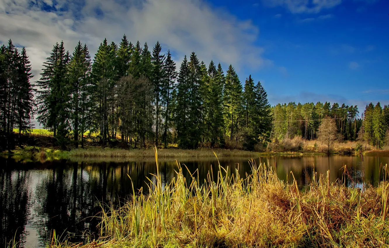 Wallpaper nature, autum colors, landscape background, november 2023 for ...