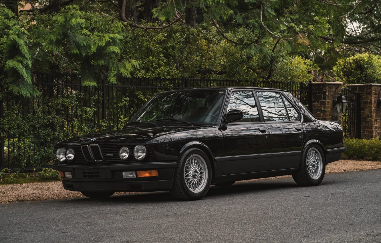 Wallpaper BMW, E28, 1988, M5 images for desktop, section bmw - download