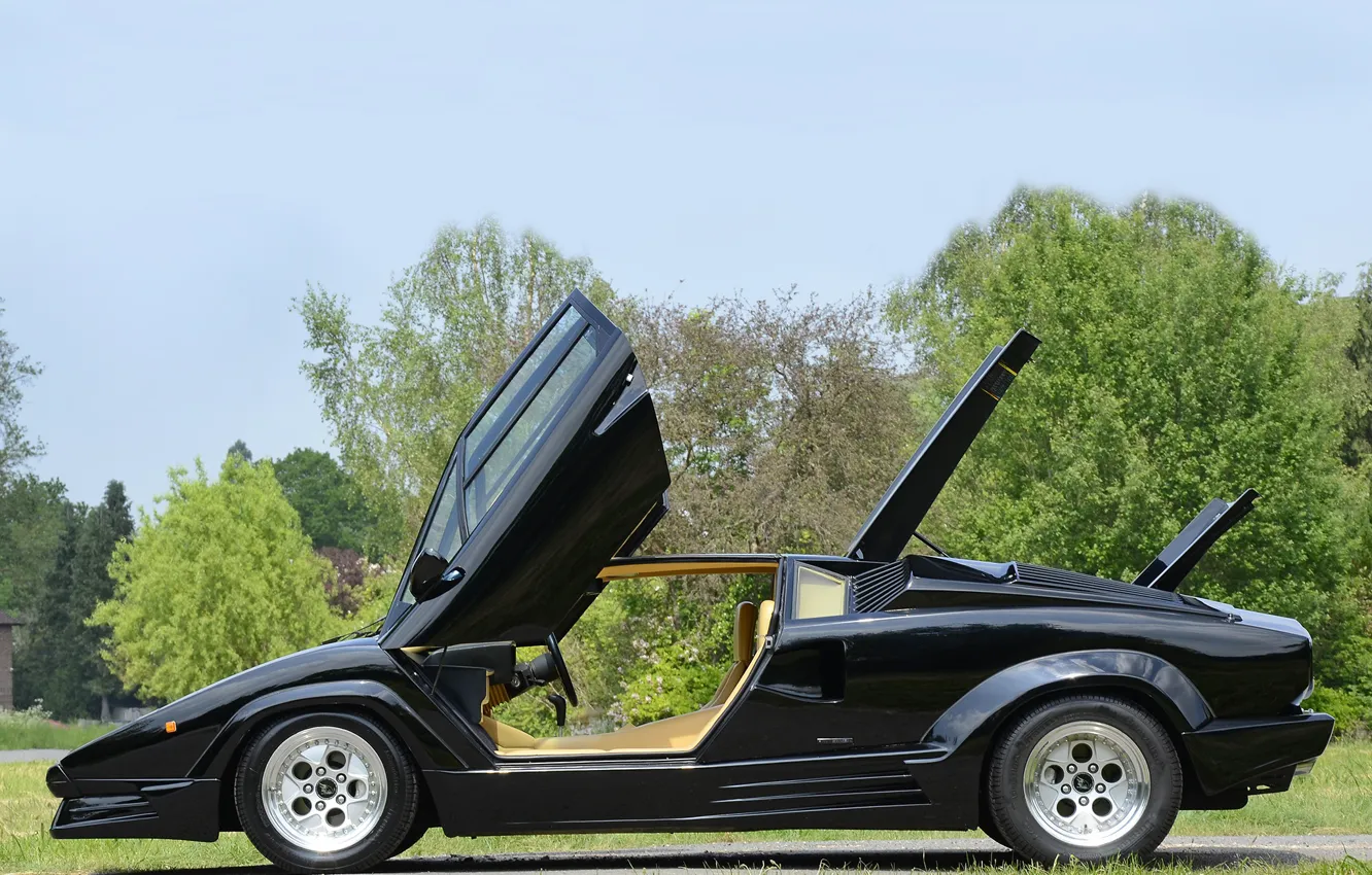 Wallpaper trees, door, the hood, lamborghini, side view, countach ...