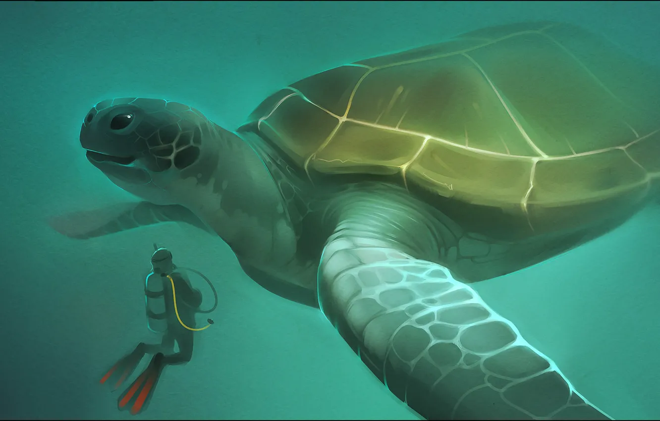 Wallpaper the ocean, diver, turtle, Alexander Khitrov, GaudiBuendia for ...