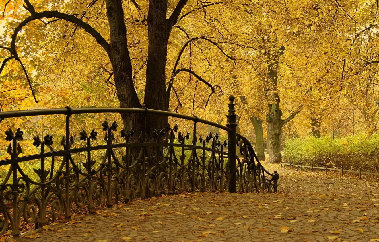 Wallpaper autumn, leaves, bridge, alley for mobile and desktop, section ...