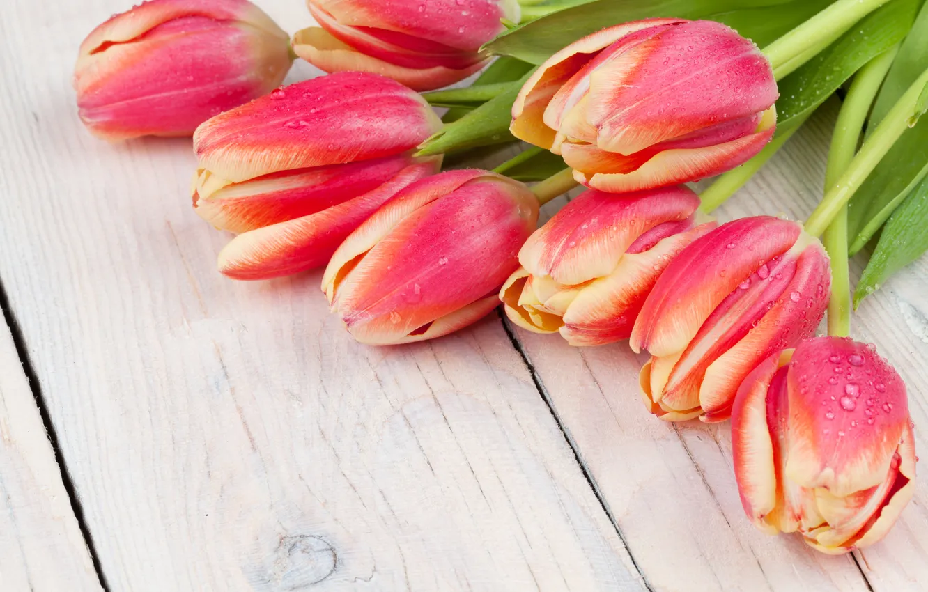 Wallpaper flowers, red, bouquet, tulips, red, wood, flowers, tulips for ...