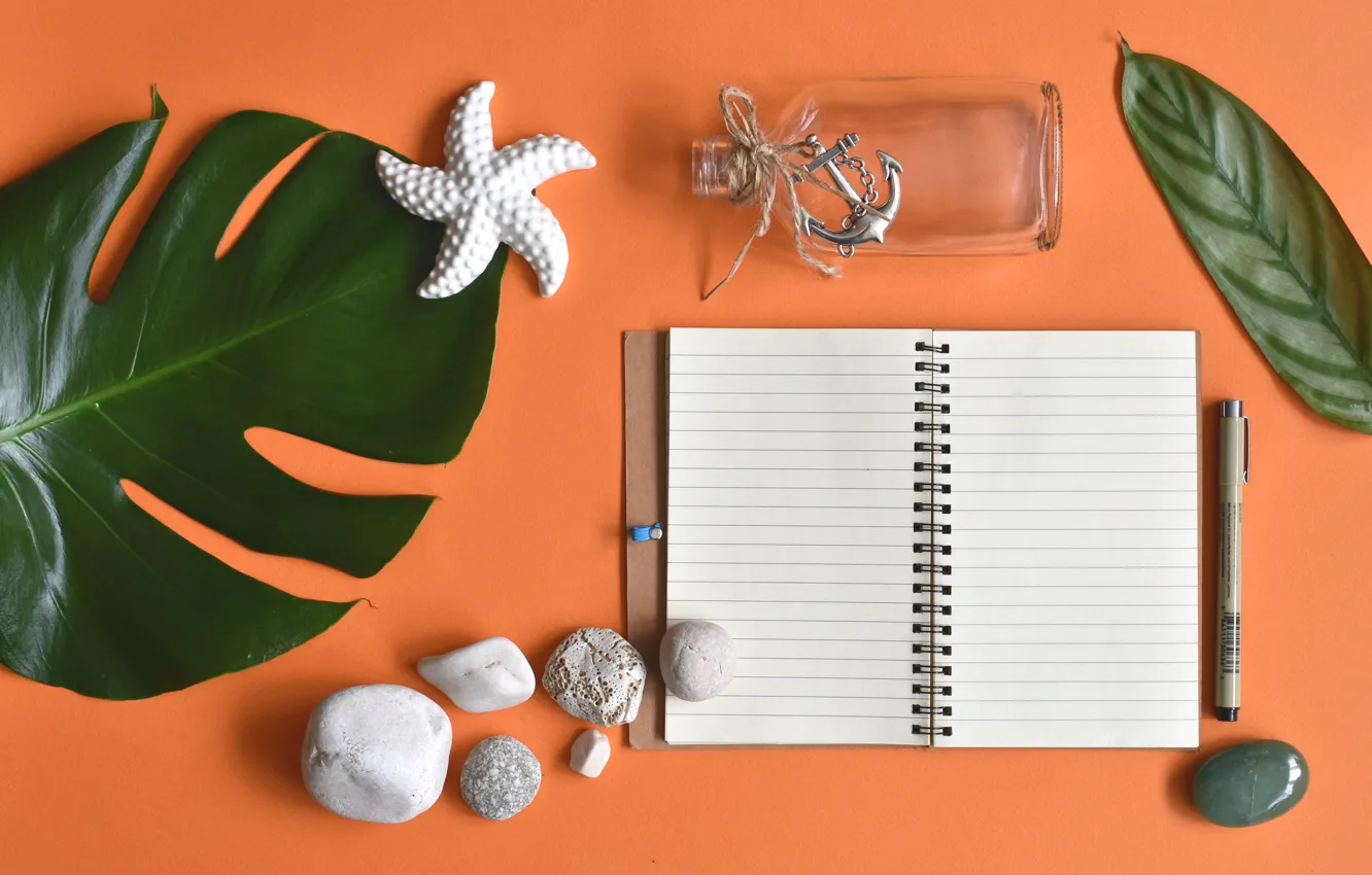 Wallpaper Sheet, shell, Notepad for mobile and desktop, section разное ...