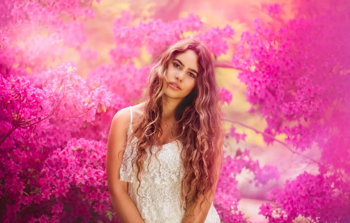 Wallpaper look, girl, flowers, face, pose, portrait, garden, pink for ...