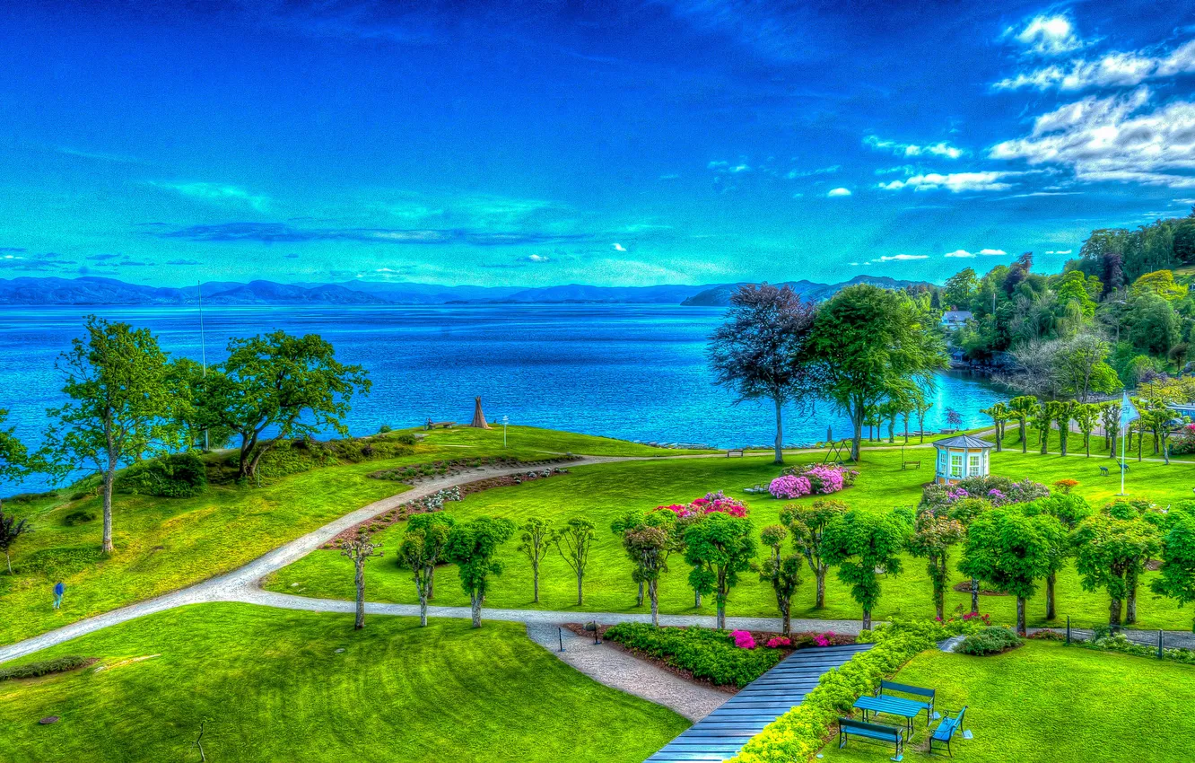Wallpaper the sky, grass, trees, flowers, mountains, lake, Park for ...
