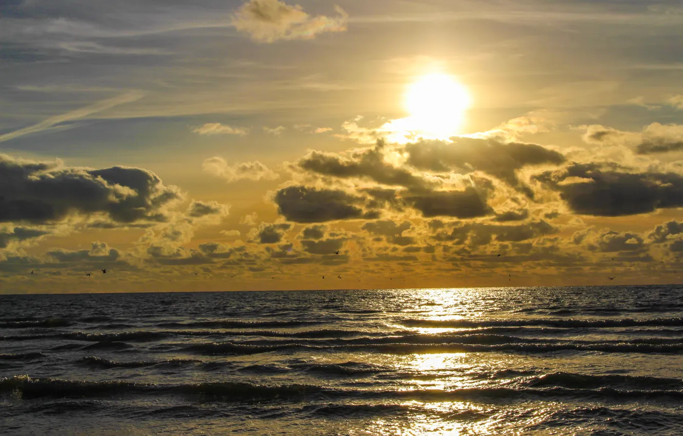 Wallpaper sunset, dune, denmark, north sea images for desktop, section ...