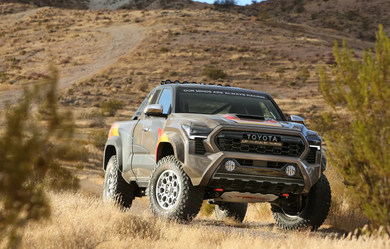 Wallpaper Toyota, SEMA, TRD, Tacoma, Toyota Tacoma, Livery, SEMA 2024 ...
